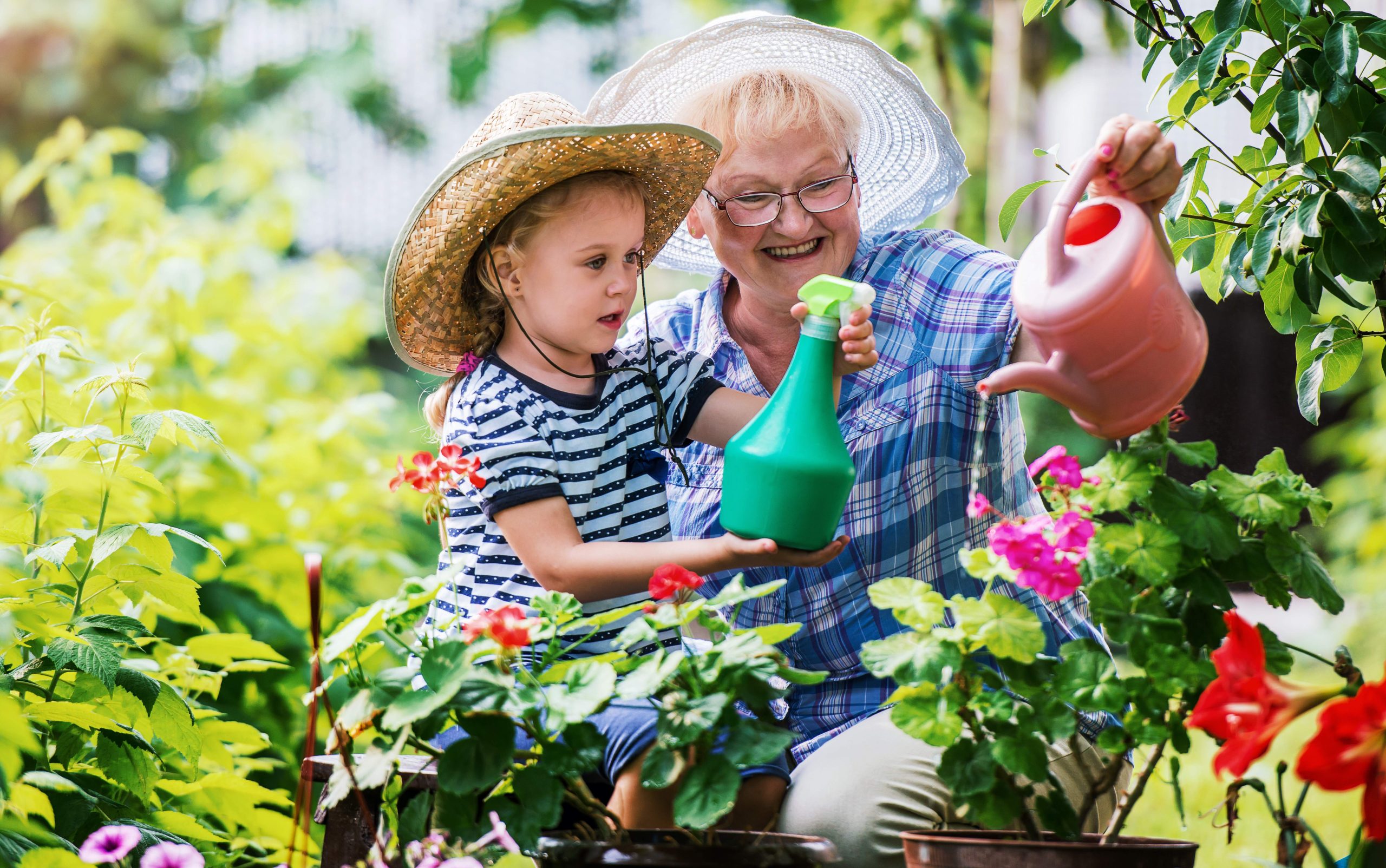 Embracing Independence at Home: Celebrating Seniors' Journey Towards ...